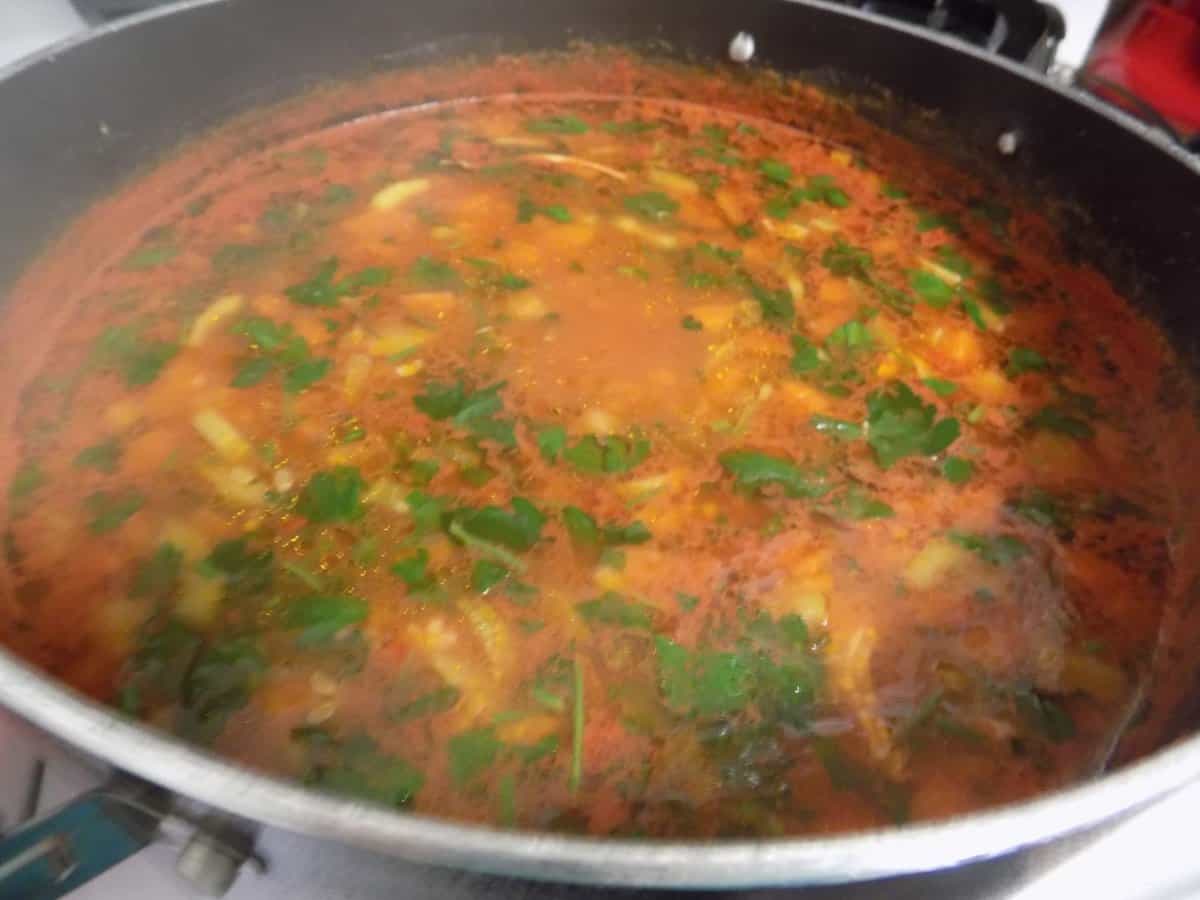 Mom's Lebanese Vegetable Soup - Faye's Food